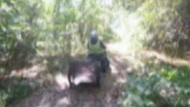 2011 Октябрь Мама я