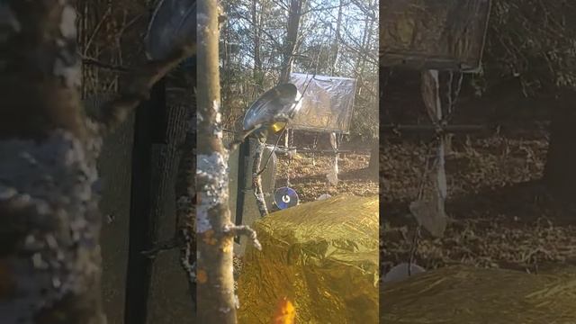 SOS. Спасите наши души...