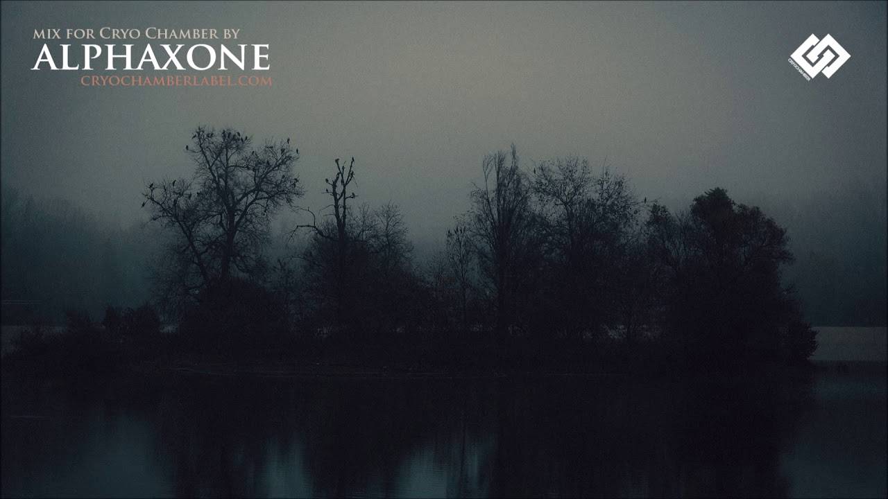 Kreep forest/DND ambience/Grimdark/Fantasy/dark music/Тёмный лес днд/RPG playlist