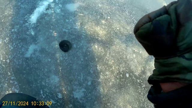 Зимняя рыбалка на Леневке 27.11.2024 г. первый лед