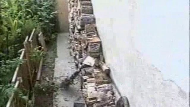 2011 Июль Мама я