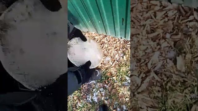 Я со с воим другом нашли ледяную тарелку