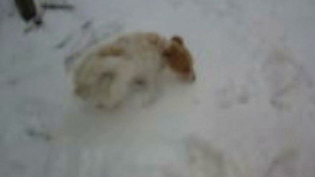 2013 Март Мама я