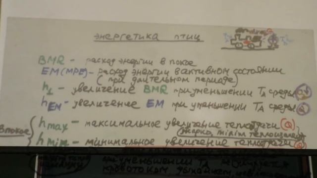 Рубин А.Б. - Биофизика. Часть 1 - 8. Т-ма Пригожина. Роль энтропии и информации в биол. процессах