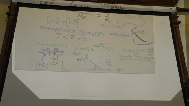 Рубин А. Б. - Биофизика. Часть 1 - 2. Клеточный метаболизм