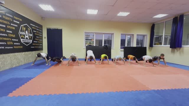 Отжимания группа 8.2