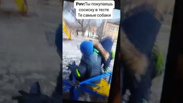 Ты купил сосиску в тесте те самые дворовые собаки