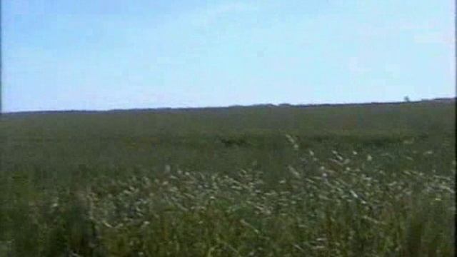 2014 Июнь Мама я