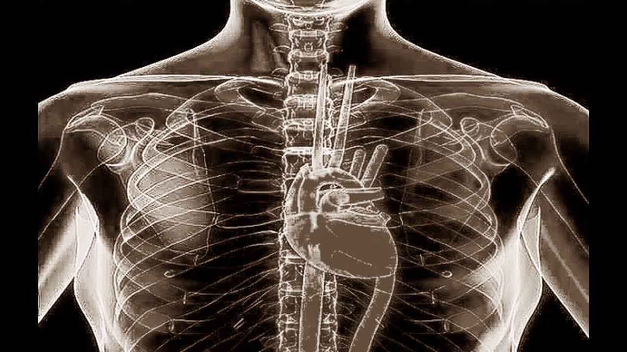 Меридиан перикарда