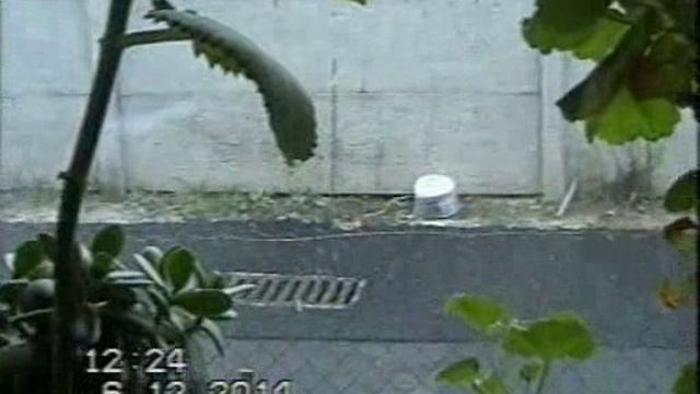 2014 Декабрь Мама я