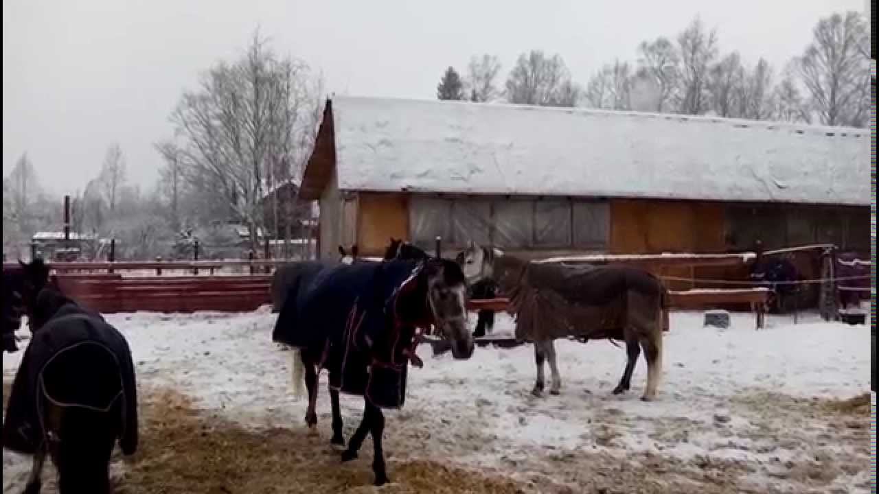 КСК Нева FullHD