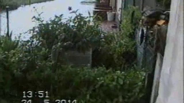 2014 Май я Мама