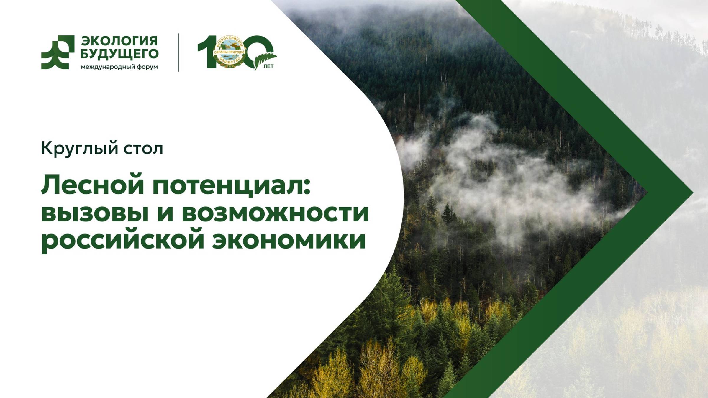 Круглый стол "Лесной потенциал: вызовы и возможности российской экономики" Форум "Экология будущего"