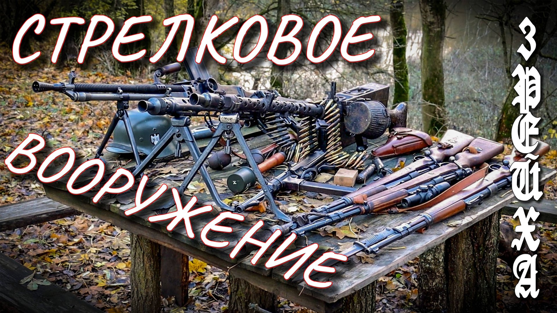 Коротко об основном стрелковом оружии Третьего Рейха