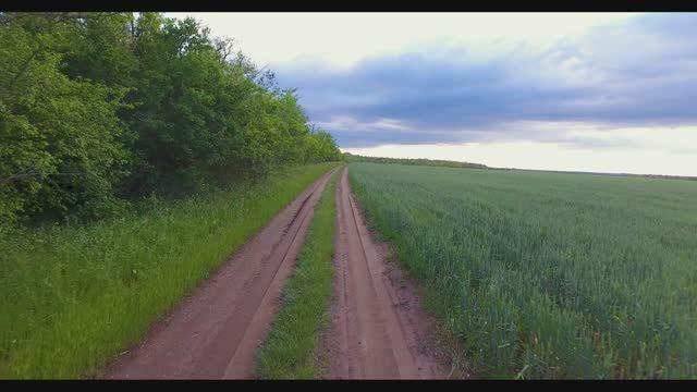 Безмятежность полей