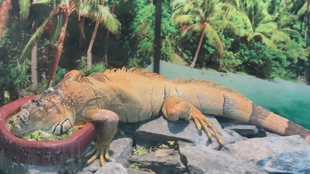 Экзотариум в Пятигорске.