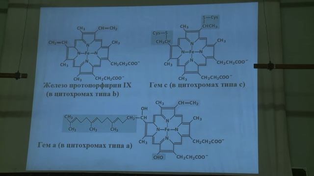Асеев В. В. - Основы биохимии - 13. Разновидности ферментов