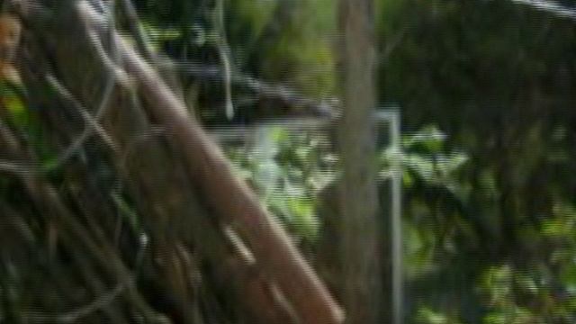 2014 Апрель Мама я