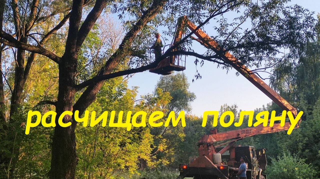 Приехала автовышка || Убираем опасные деревья || Жизнь в деревне