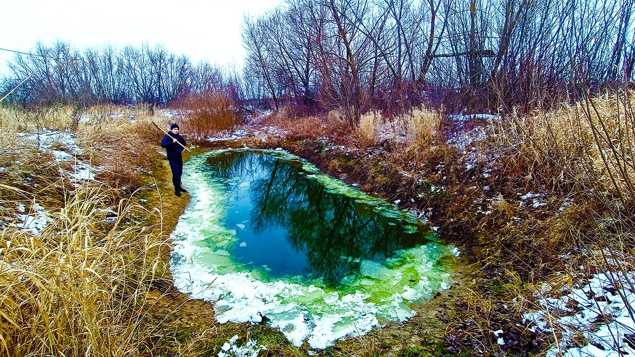 Пруд на даче зимой! Первый лёд и новые проблемы!