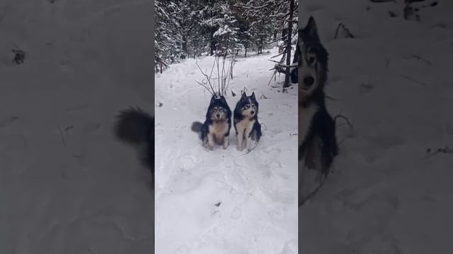 Красот Алтая вам в ленту )))))