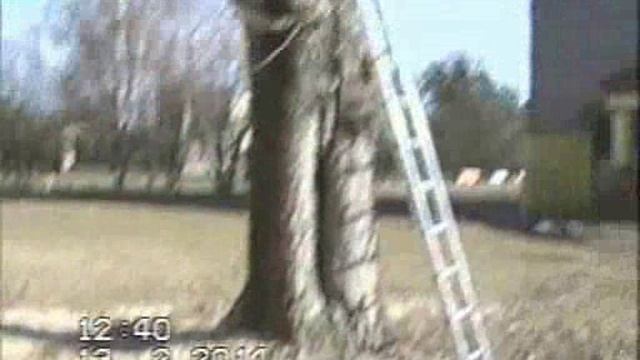 2014 Февраль Мама я