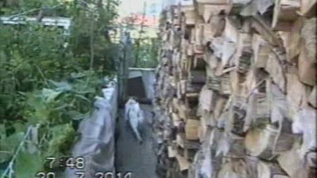 2014 Июль Мама я