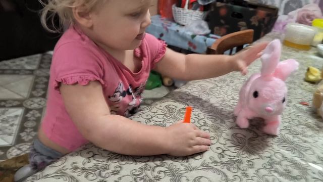 Катюша и зайка