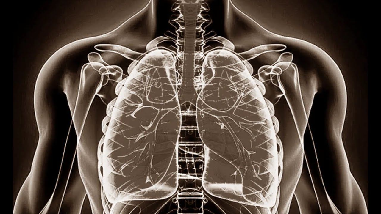 Меридиан лёгких