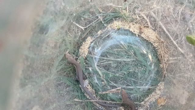 Жизнь в банке!