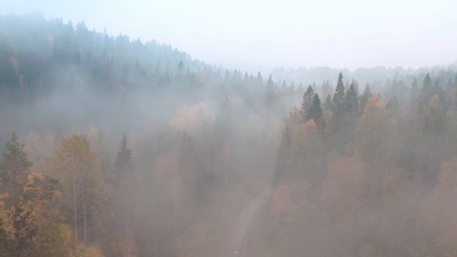 История о пилигриме (авторская песня)