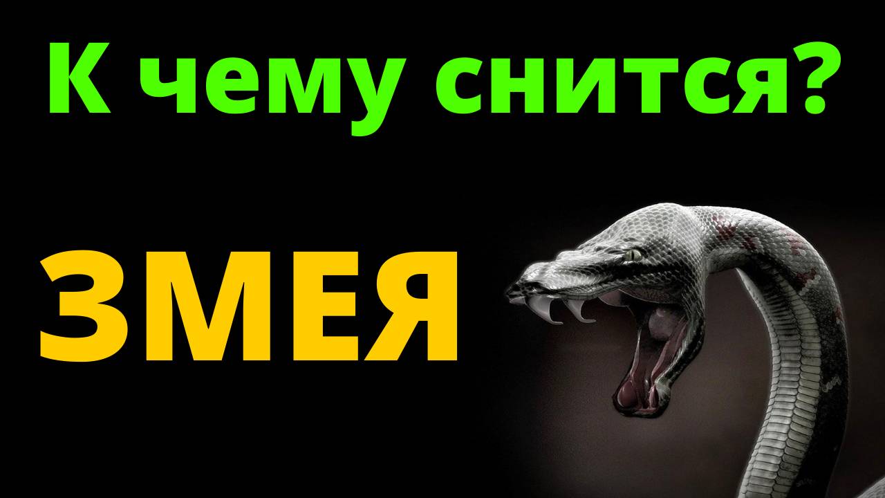 К чему снится Змея? Сонник Миллера. Сонник толкование снов.