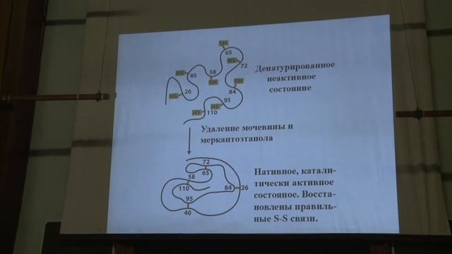 Асеев В. В. - Основы биохимии - 11. Функции белков