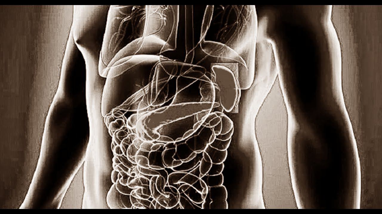 Меридиан селезёнки