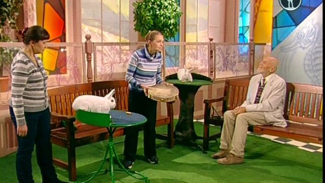 В мире животных с Николаем Дроздовым 2013 г  Выпуск - 20