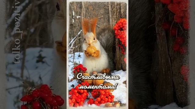 С добрым утром!