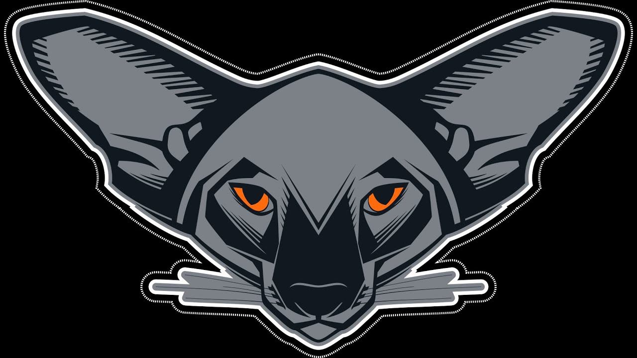 Зонды для систем локации SNS