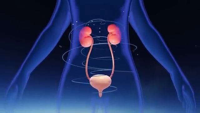 Матрица Гаряева*Исцеление Почек*Исцеление Звуком