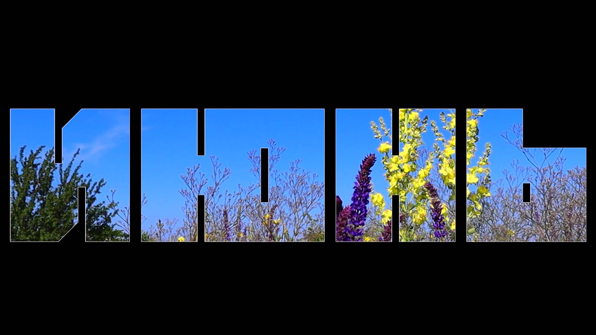 Однажды... В Июне - Relax Video (One Day In June)