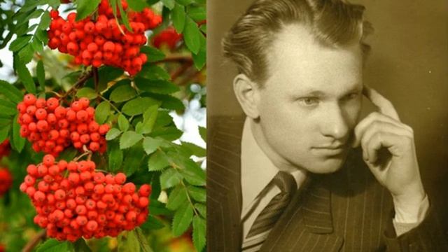 Рябинушка. Г. Пищаев