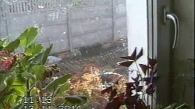 2014 Ноябрь Мама я