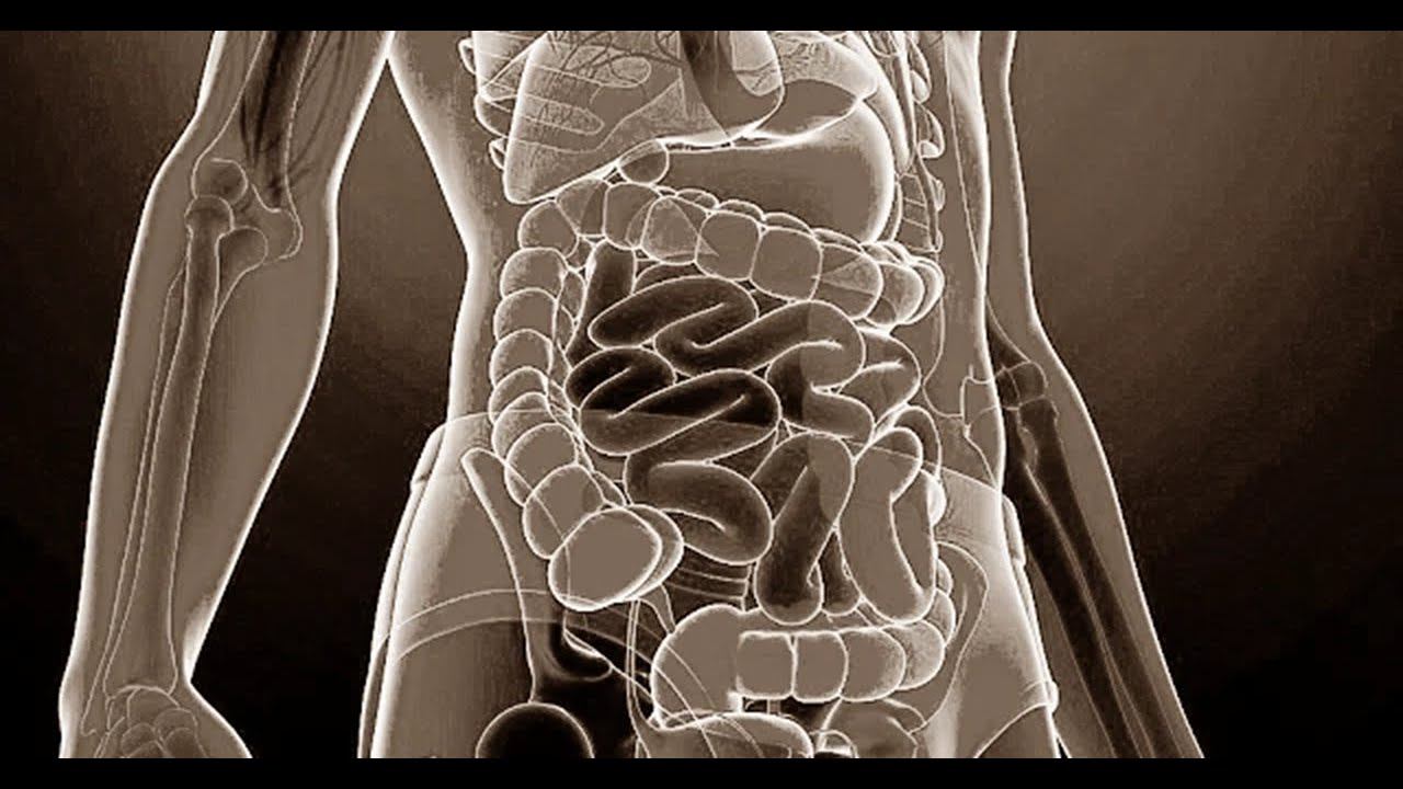 Меридиан тройного обогревателя