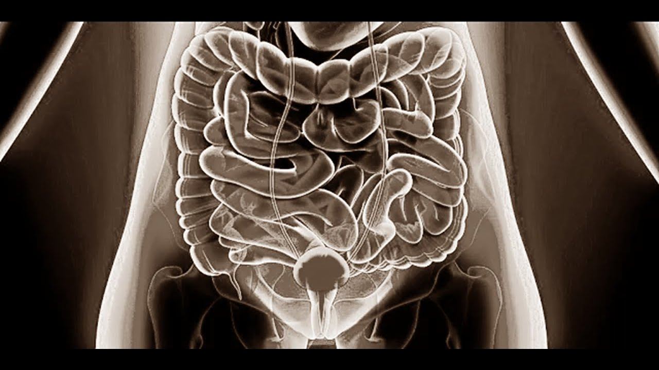 Меридиан мочевого пузыря