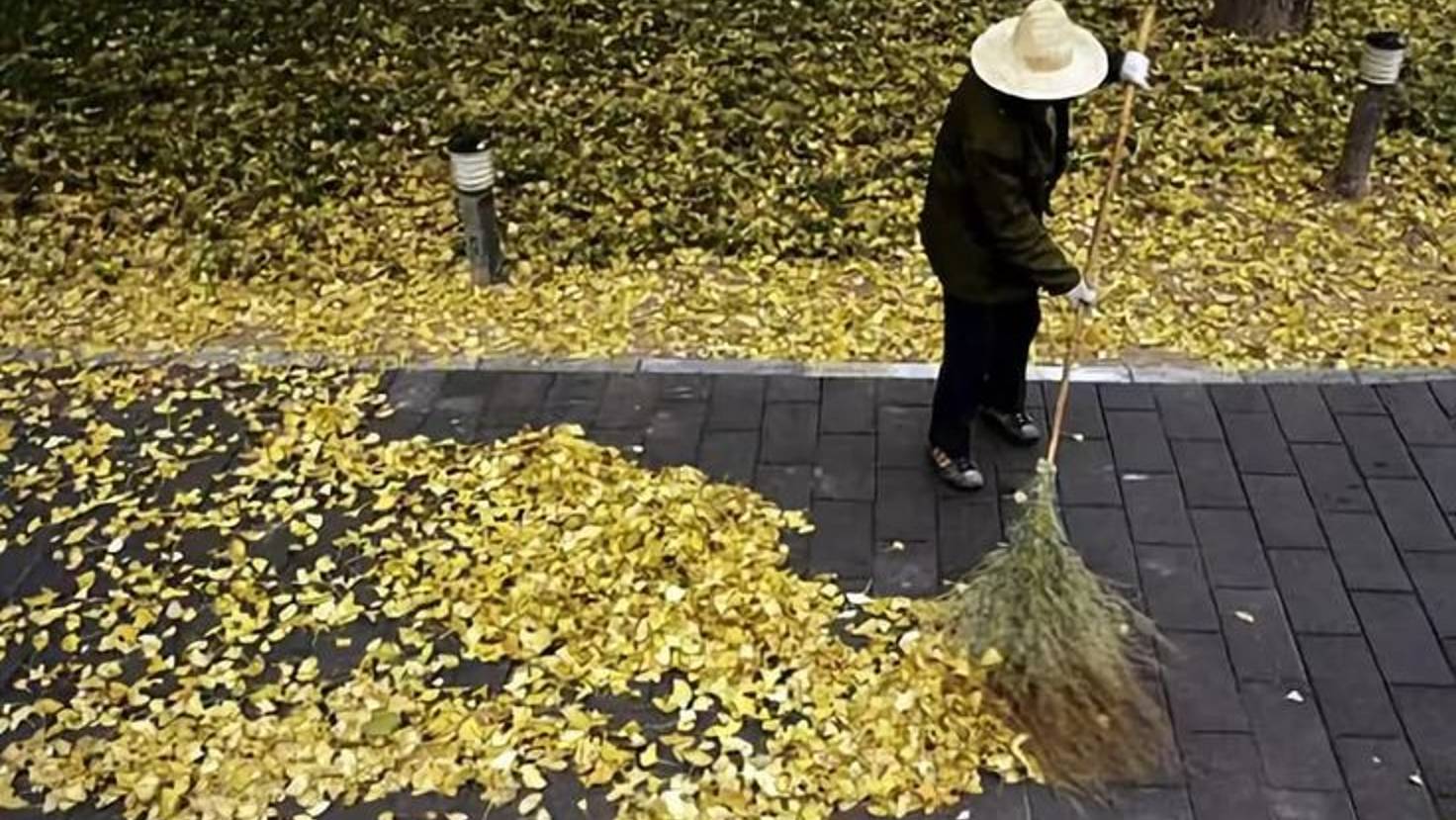 Поэт и дворник