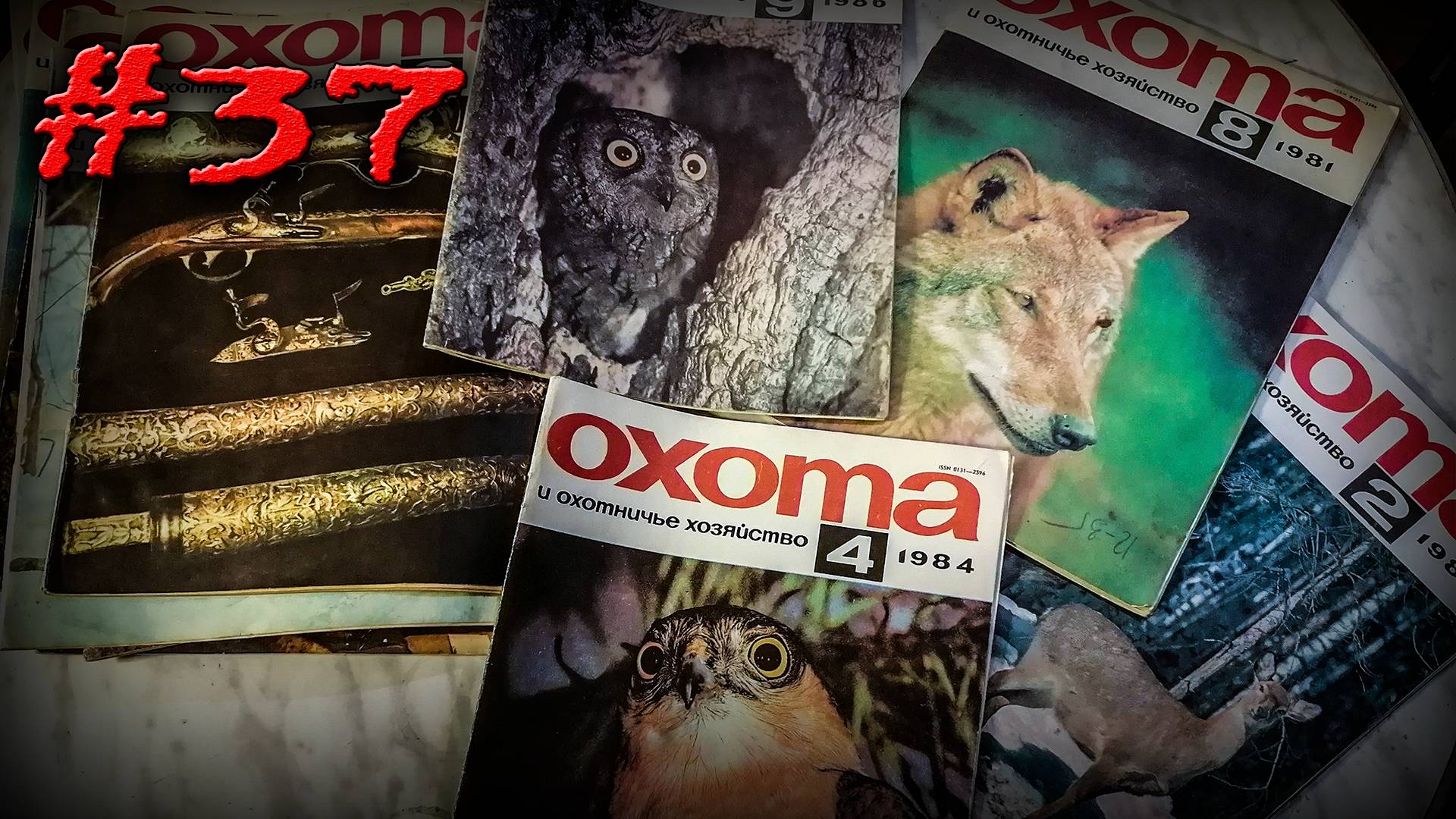 Журналы "Охота"