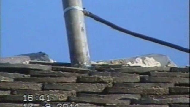 2014 Сенmябрь Мама я