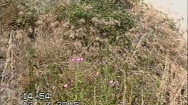 2015 Июль Мама я