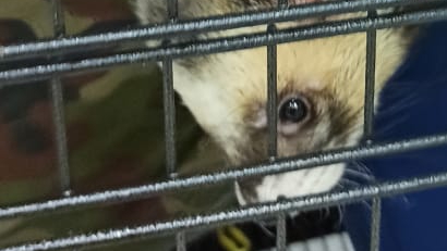 зооландия зоопарк11☄️☄️☄️☄️☄️☄️☄️☄️☄️☄️