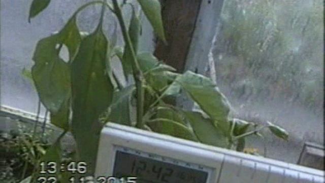 2015 Ноябрь Мама я