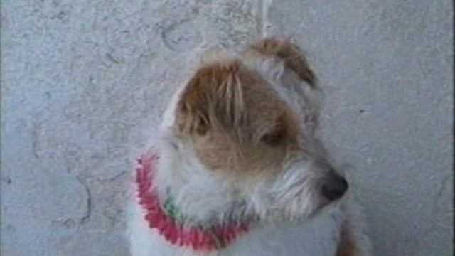 2015 Декабрь у ДОМА